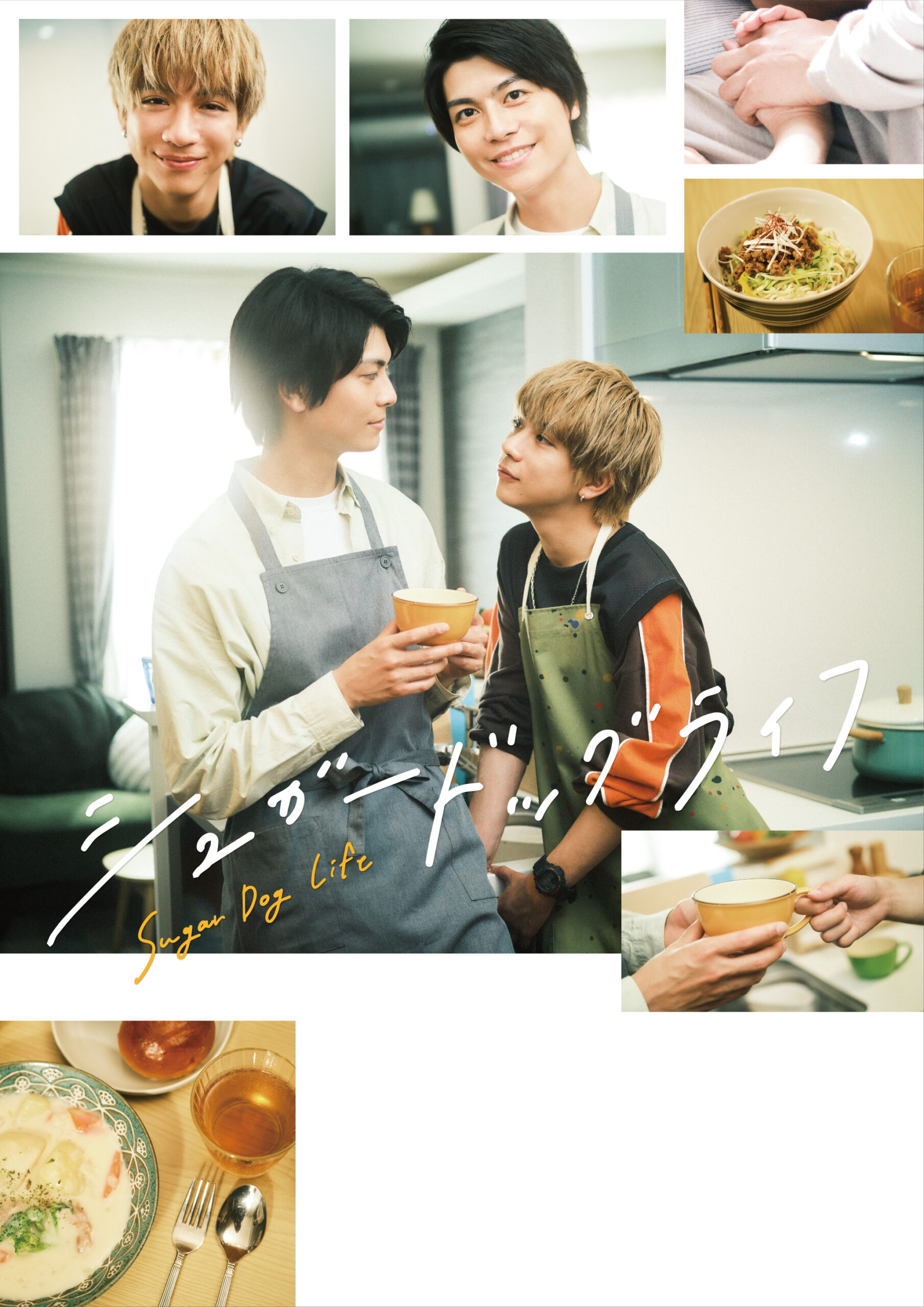 ABC Program Catalogue｜ABC FRONTIER